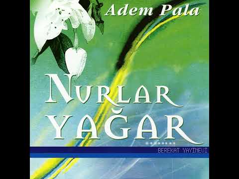 Adem Pala - Demedim Mi 