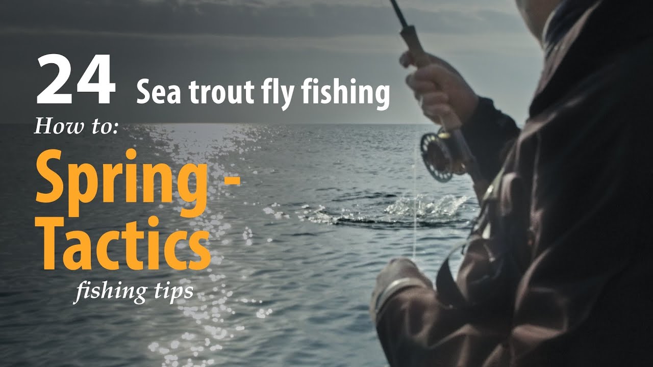 How to • Sea trout - Fly fishing • Spring Tactics • fishing tips - YouTube