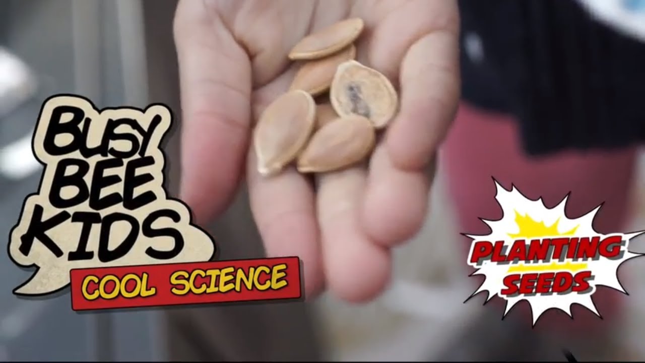 Starting a Vegetable Garden With Kids - YouTube