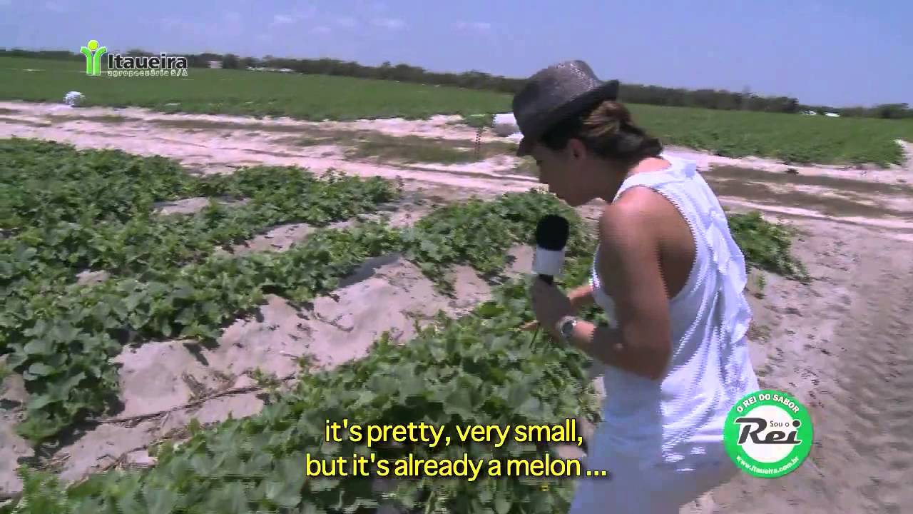 VIDA MELHOR - MATTER BRAZILIAN TV ON THE FARM ITAUEIRA AND ITS REI ...