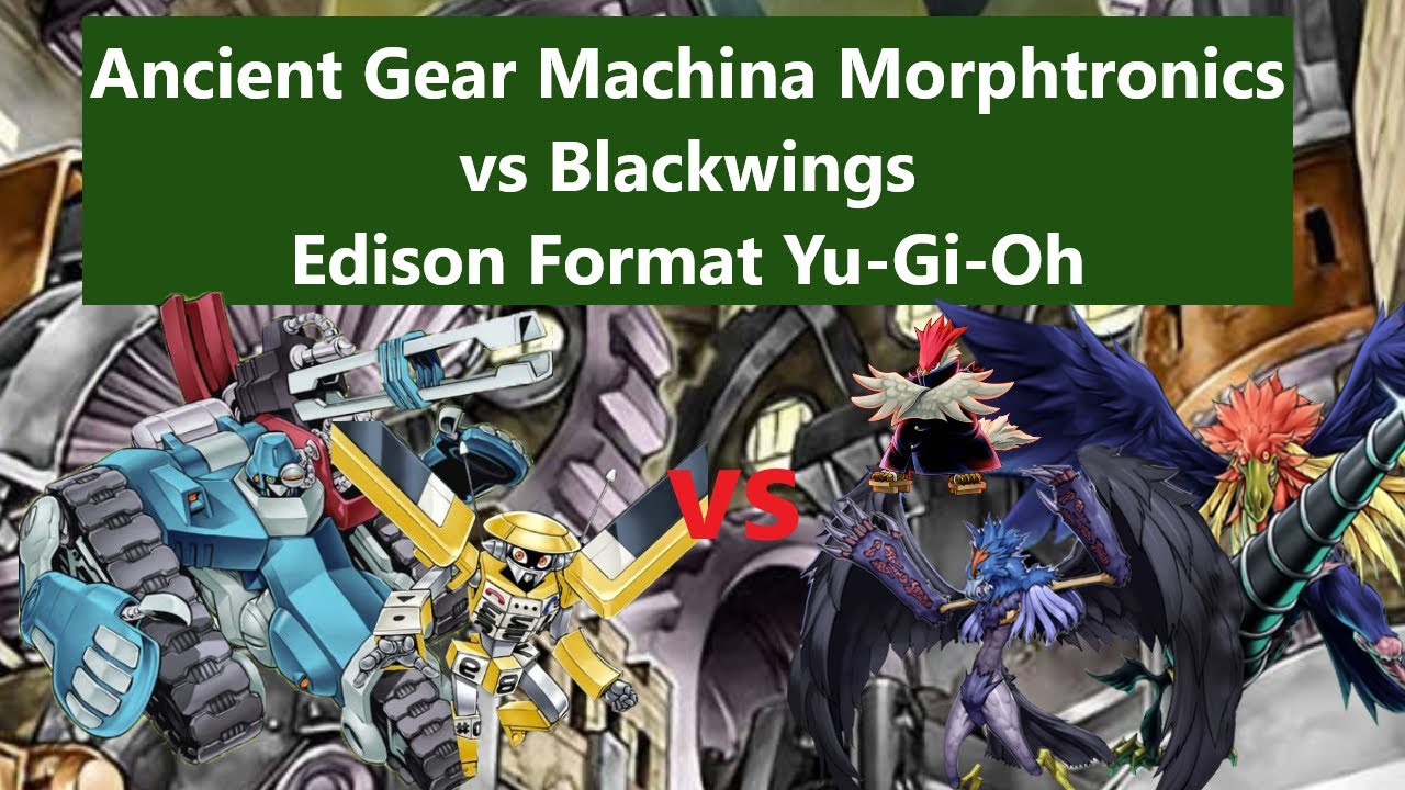Ancient Gear Machina Morphtronics vs Blackwings | Edison Format Yugioh ...