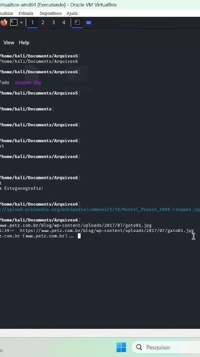 Using Steganography in Kali Linux - YouTube
