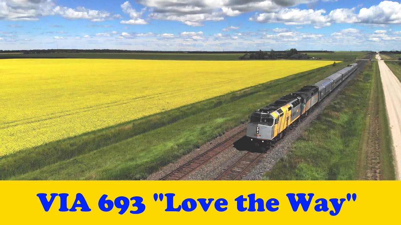 Love the Canola ! VIA's Winnipeg-Churchill Train Passing the Canola ...