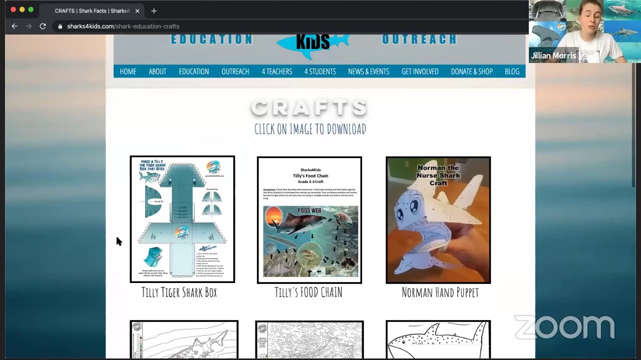 Shark Conservation with Dr. David Shiffman - YouTube