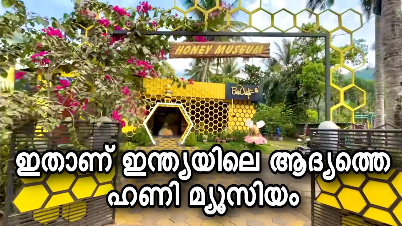 Honey Museum Wayanad | India's First Honey Museum | Tourist place ...