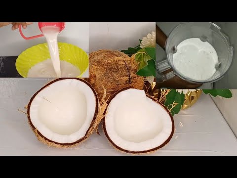 Homemade Thick Coconut Cream and Coconut Milk/Using a blender to make ...