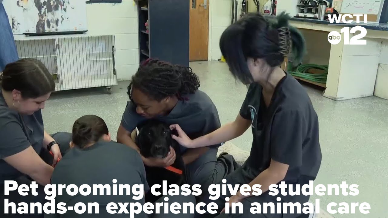 High school pet grooming class gives students hands-on experience in ...