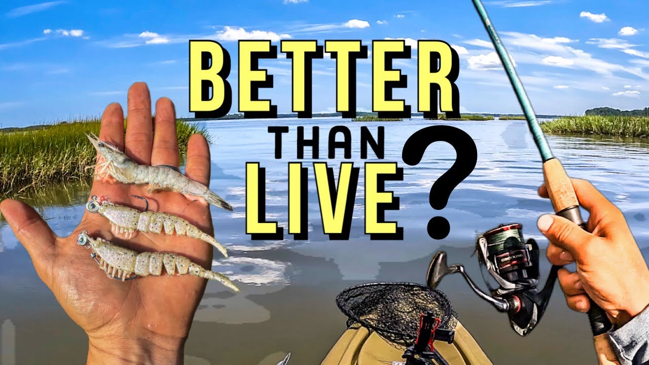 How to use shrimp lure: inshore saltwater kayak fishing Charleston SC ...