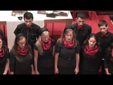 Fiti Tari - corul Quo Vadis din Balaca (Charleroi, 24aug2014)