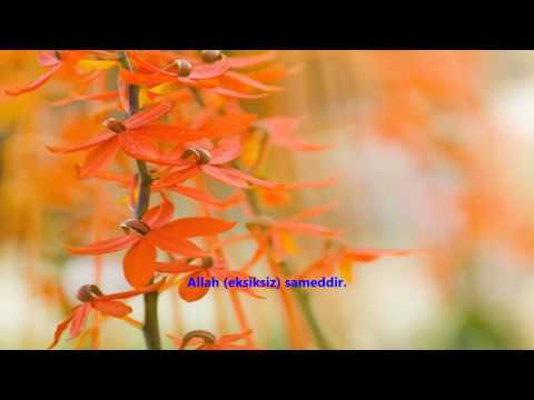 İHLAS-(İHLÂS)-SURESİ-Daoud Hamza {Dawood Ayad Hamza}
