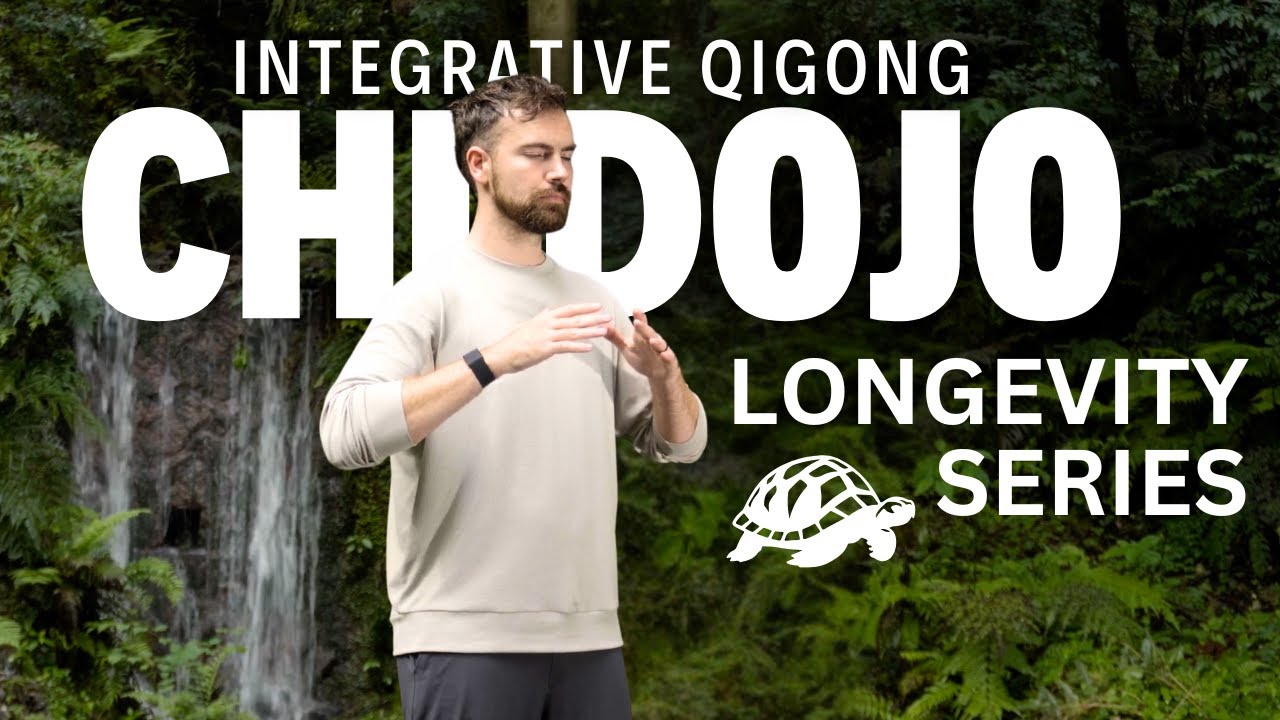 Chi Dojo: Longevity Series | 12 Treasures, Swimming Dragon, and More ...