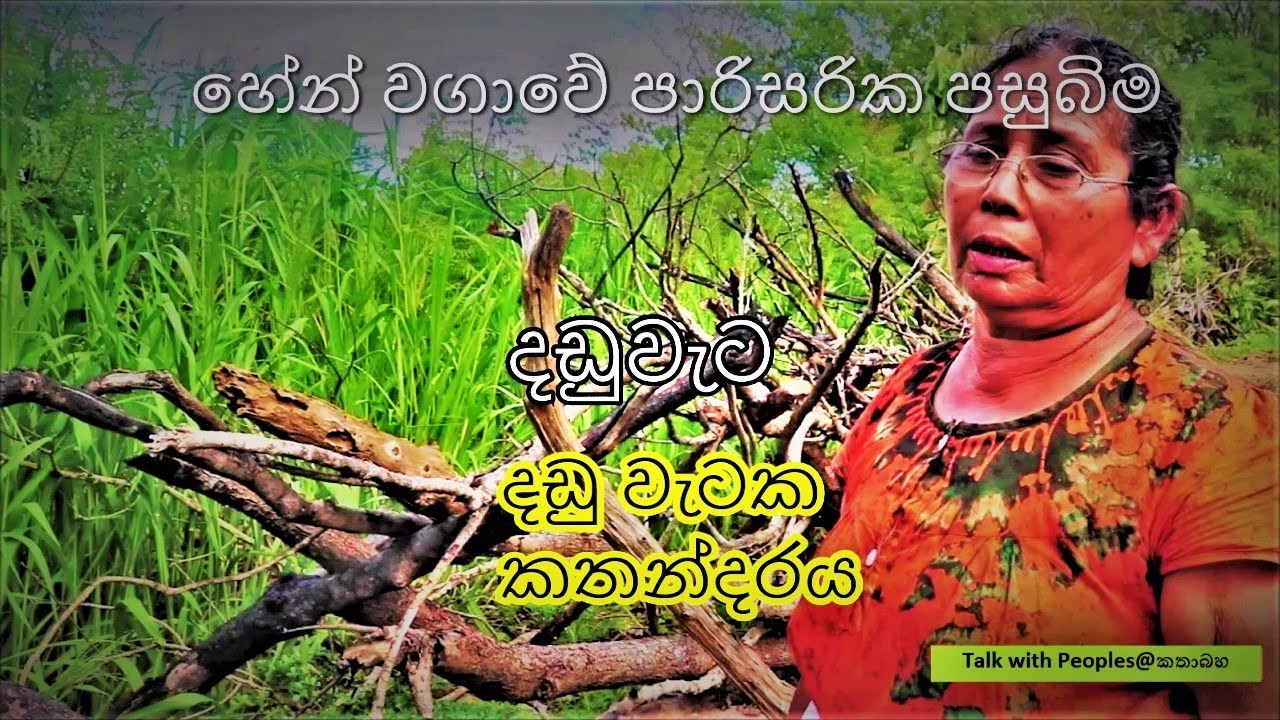 දඩුවැටක කතන්දරය | " The Story of the Daduweta" - YouTube