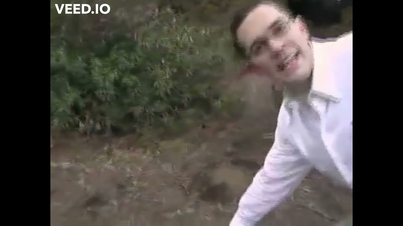 avgn dog shit - YouTube