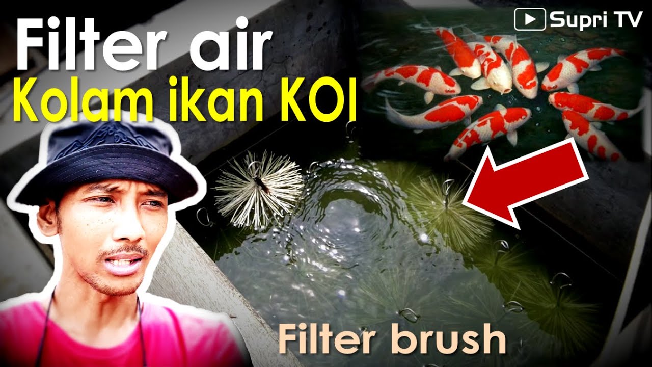 Susunan filter dan media filter air kolam ikan koi - YouTube
