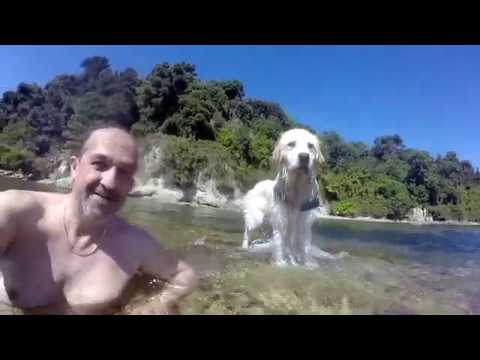 Sammie our Golden Retriever Part #2 #GoPro #Hero3+ - YouTube