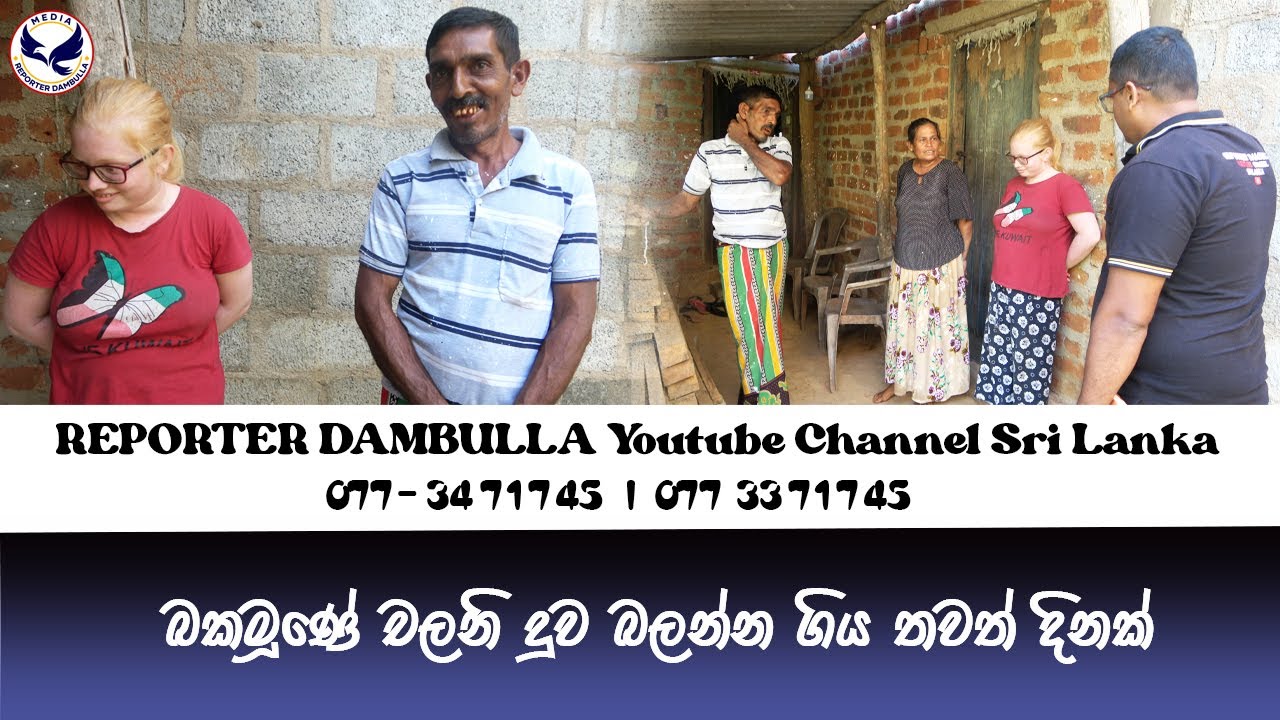 බකමූණේ චලනි දුව බලන්න ගිය තවත් දිනක් || Reporter Dambulla || Kumar ...