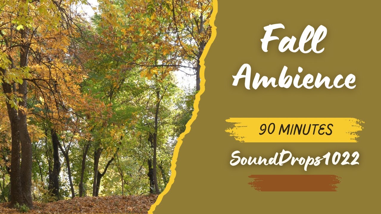 90-Minute Fall Escape: Peaceful Autumn Sounds - YouTube