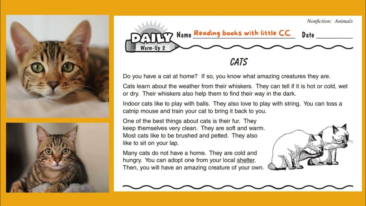 DAILY WARMUP READING 1 | NONFICTION- Animals | CATS | Read aloud by CC ...