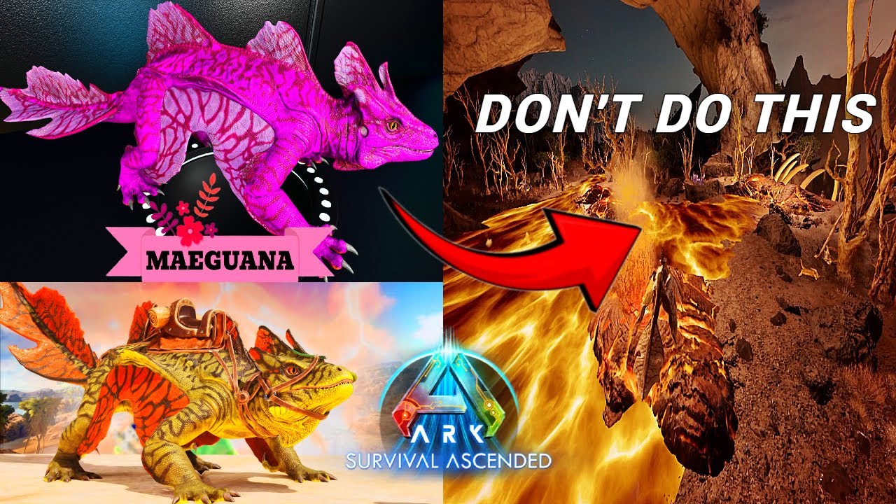 MAEGUANA Tips & Tricks You NEED to Know in Ark: Survival Ascended - YouTube