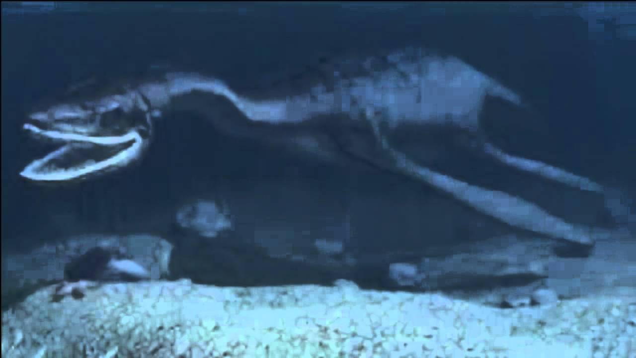 Seres y criaturas - El Nahuelito - YouTube