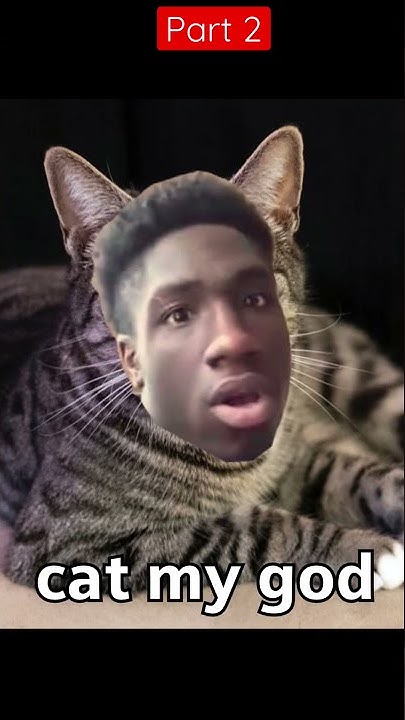 14 "Oh My God Meme" Sound Variations Pt. 2 - YouTube