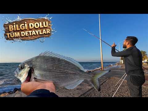 TAKOZ ÇUPRAYI BULDUK !!! SURFCASTİNG + LRF BALIK AVINDA BOŞ DÖNMEK YOK !!!