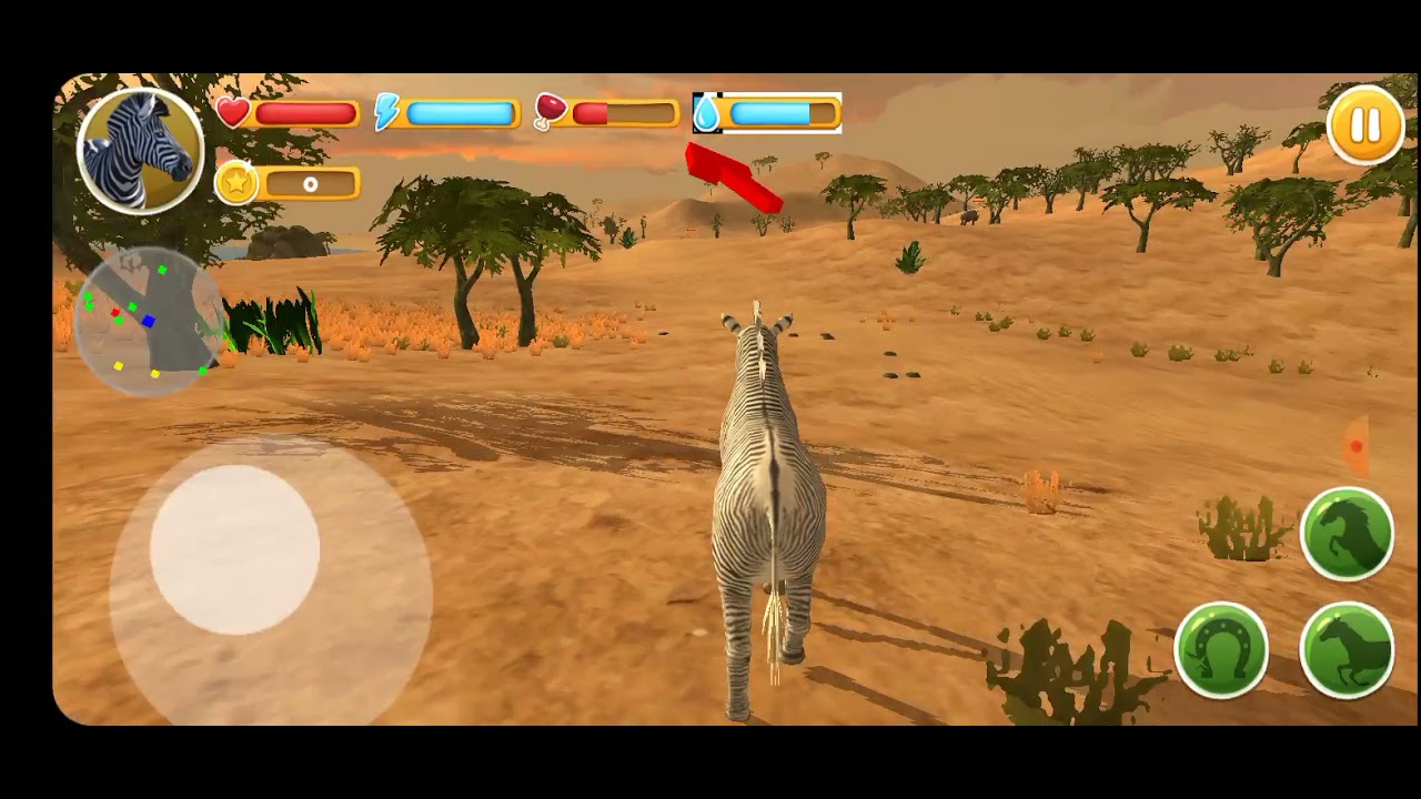 wild zebra horse simulator 3d - YouTube