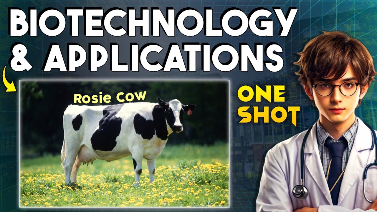 Complete BIOTECHNOLOGY AND ITS APPLICATION in One Video | Class 12 ...