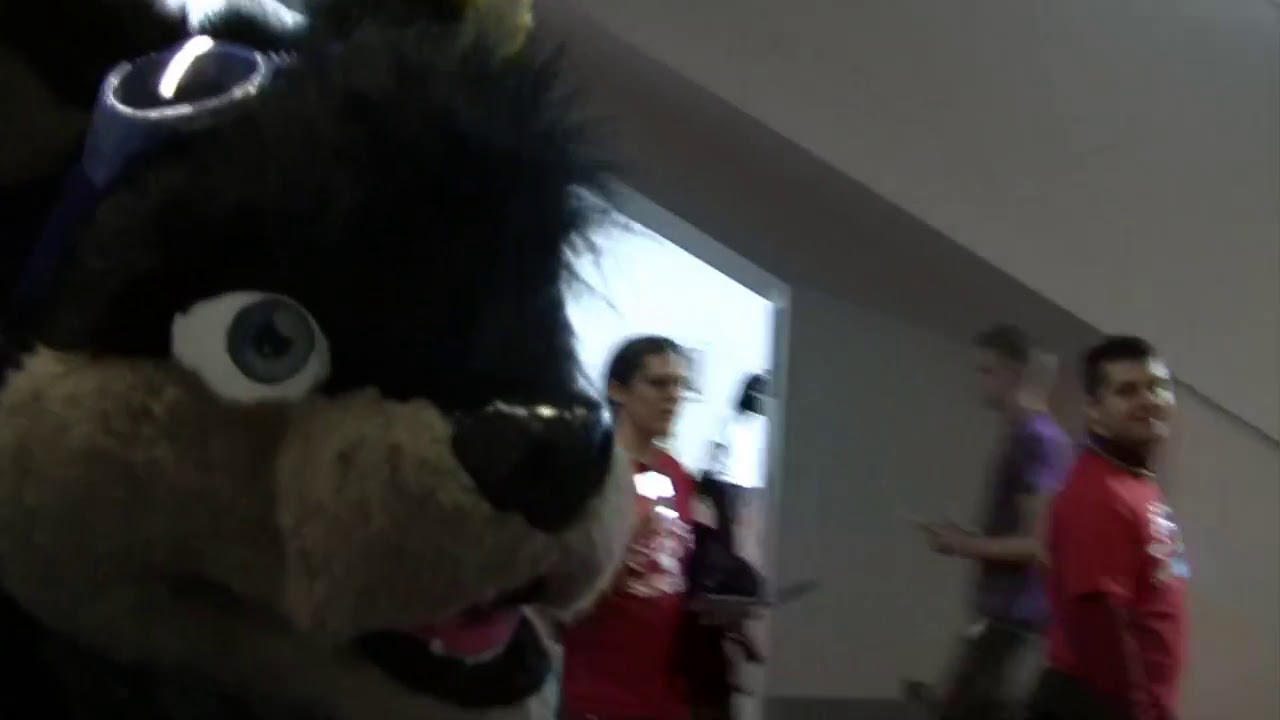 Wolf Pup TK Travels Nordguard Style - YouTube