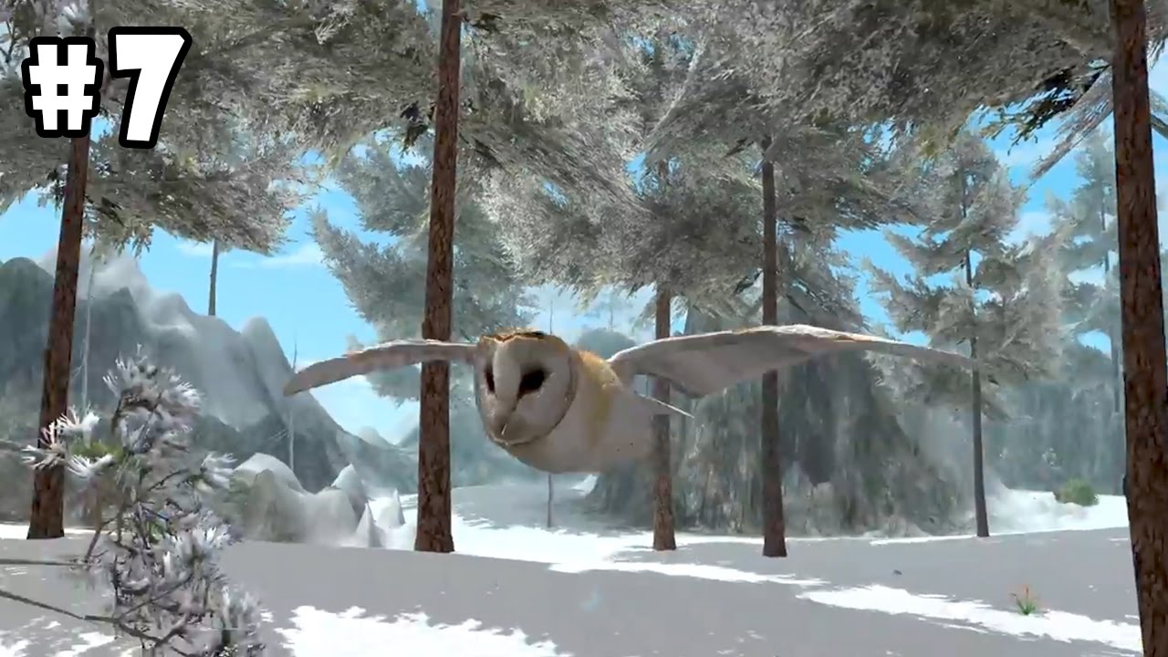 Ultimate Bird Simulator (by Gluten Free Games) Android Gameplay Part 7 ...