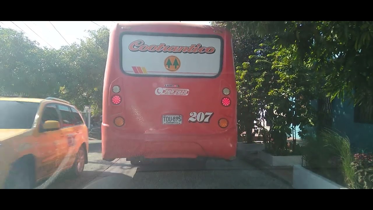 wow por poco choco con un imprudente - YouTube