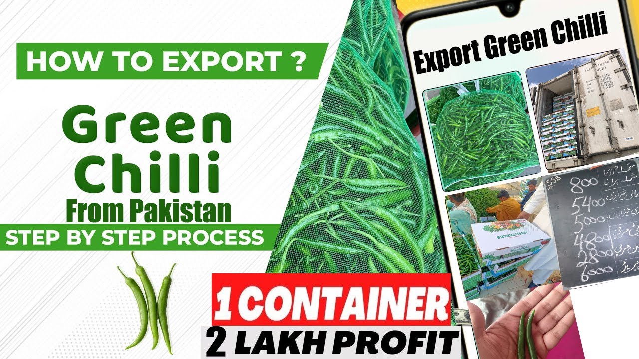 How to export Green Chilli from Pakistan || Step-by-Step Process ...