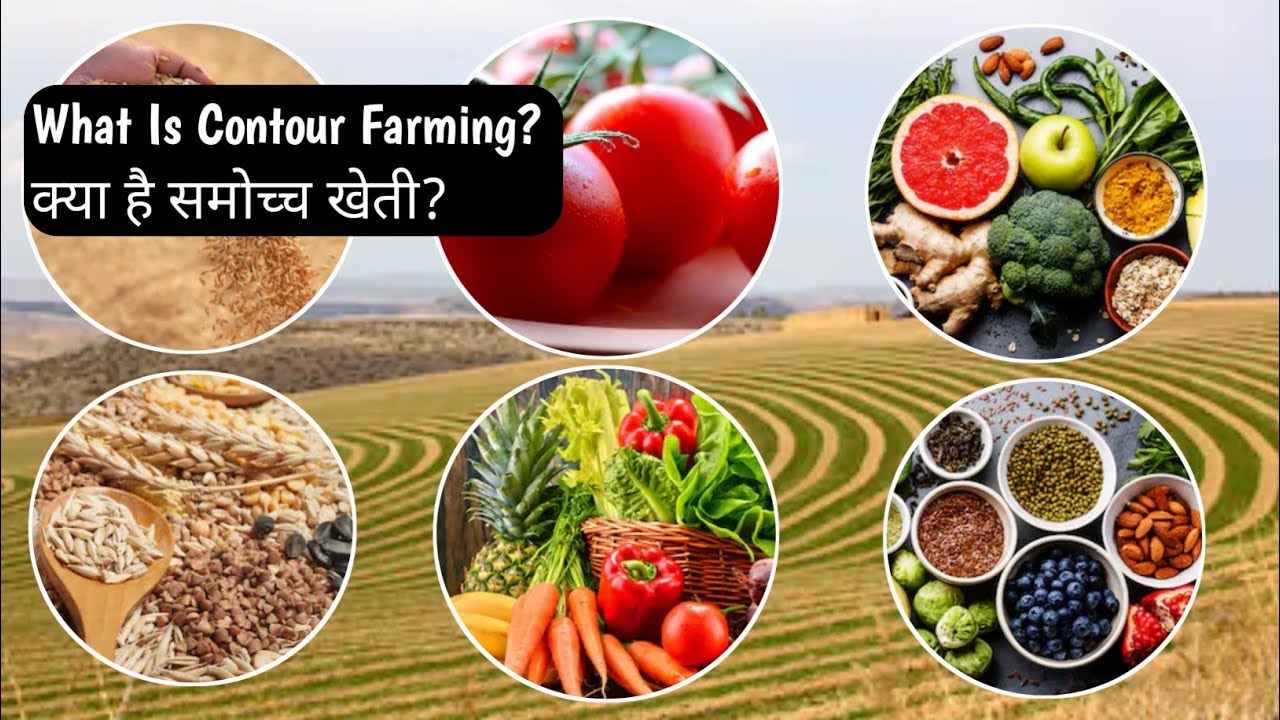 Contour Farming What Is Contour Farming I I contour-farming-what-is-contour-farming-i-i