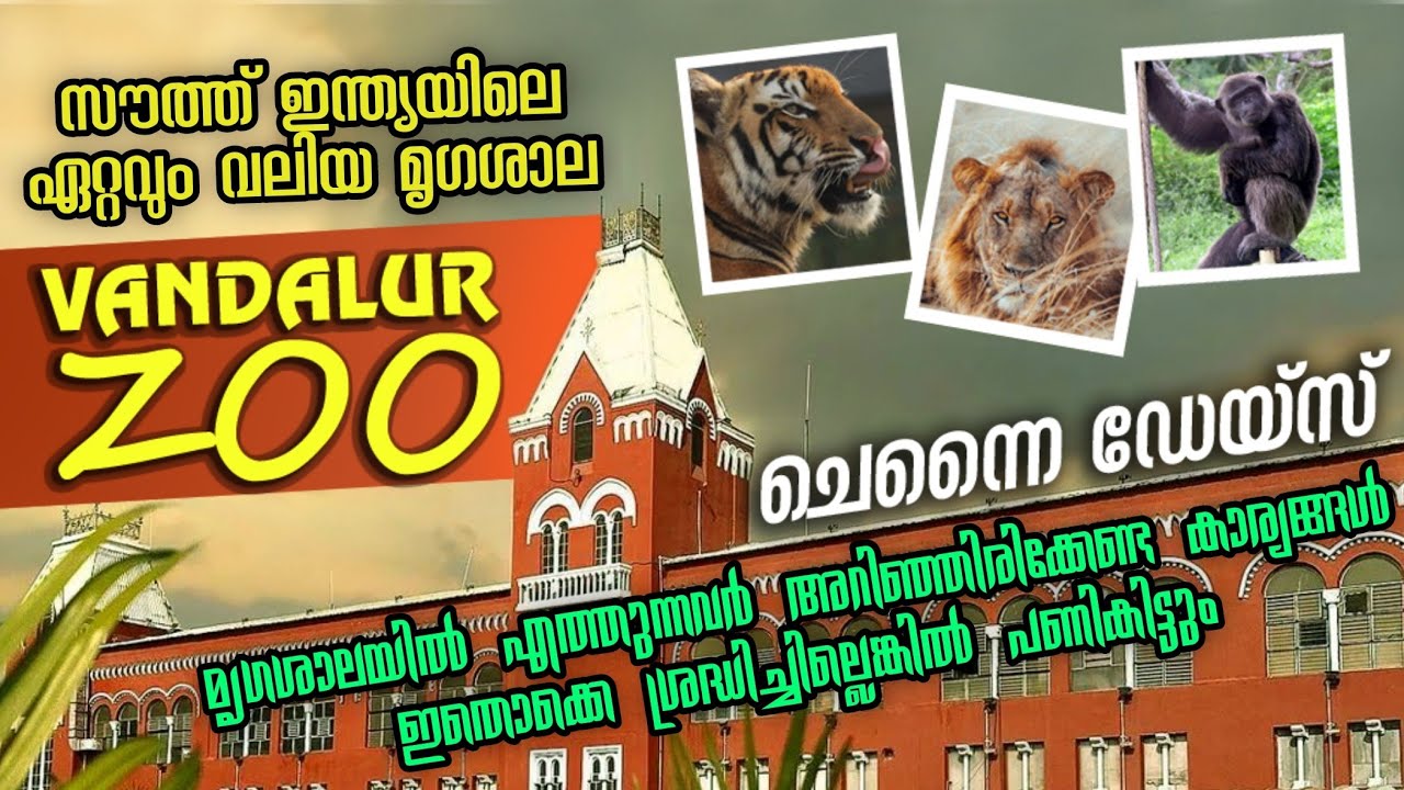 Vandalur Zoo Malayalam | Arignar Zoological Park | How to Travel ...