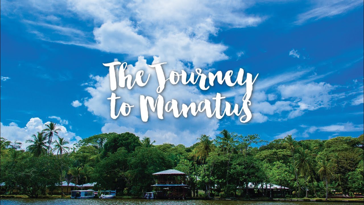 Enjoy the trip to the most exotic destination in Costa Rica - YouTube