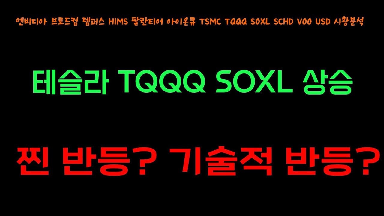 테슬라 TQQQ SOXL 상승 찐 반등? 기술적 반등? #tqqq #엔비디아 #schd #브로드컴 #hims #템퍼스 #TSMC #팔란티어 #아이온큐 #VOO #USD ...