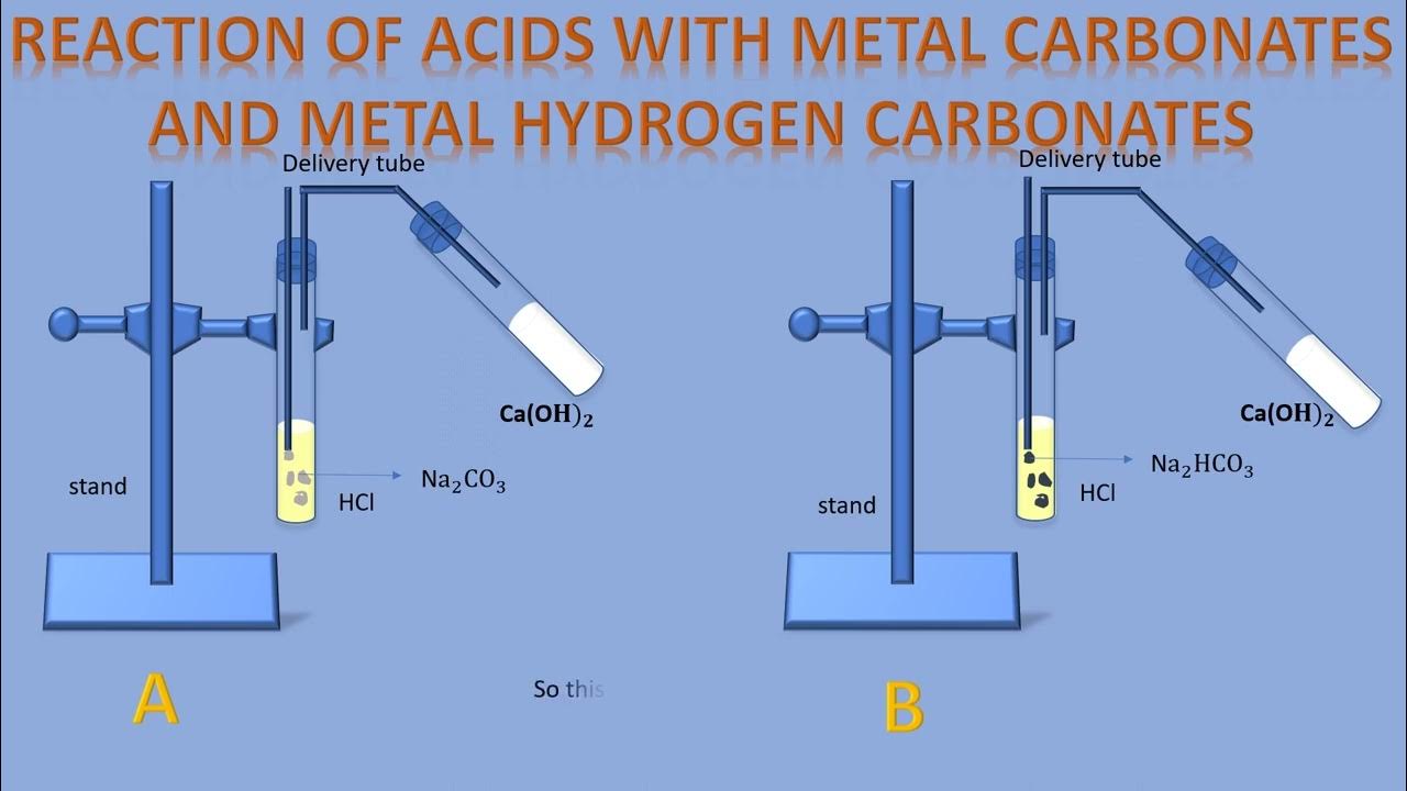reaction of acids with metal carbonates and metal hydrogen carbonates ...