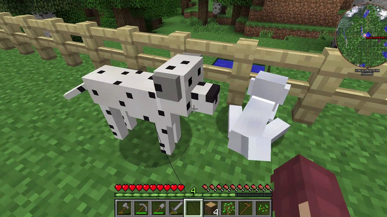 dogcraft survival series ep 6 - YouTube