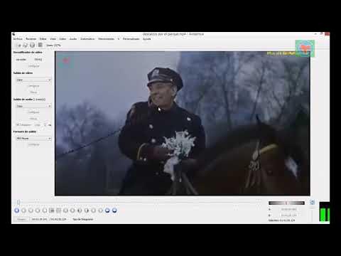 AVIDEMUX COMO SINCRONIZAR AUDIO A VIDEO PERMANENTEMENTE. - YouTube