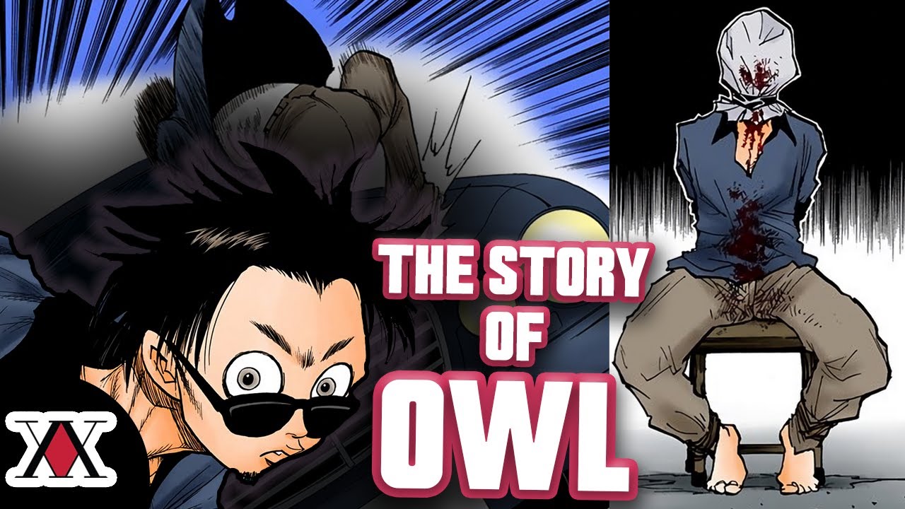 The MVP of The Shadow Beasts | An Owl Character Retrospective (Hunter x ...