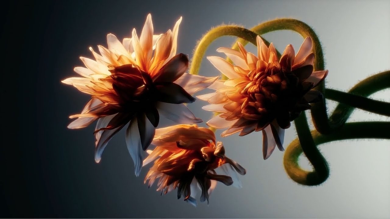 XK studio: Morphing Reality | XK studio | OFFF HIVE 2024 - YouTube