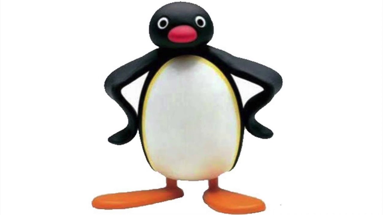 Noot Noot YouTube Noot Noot YouTube