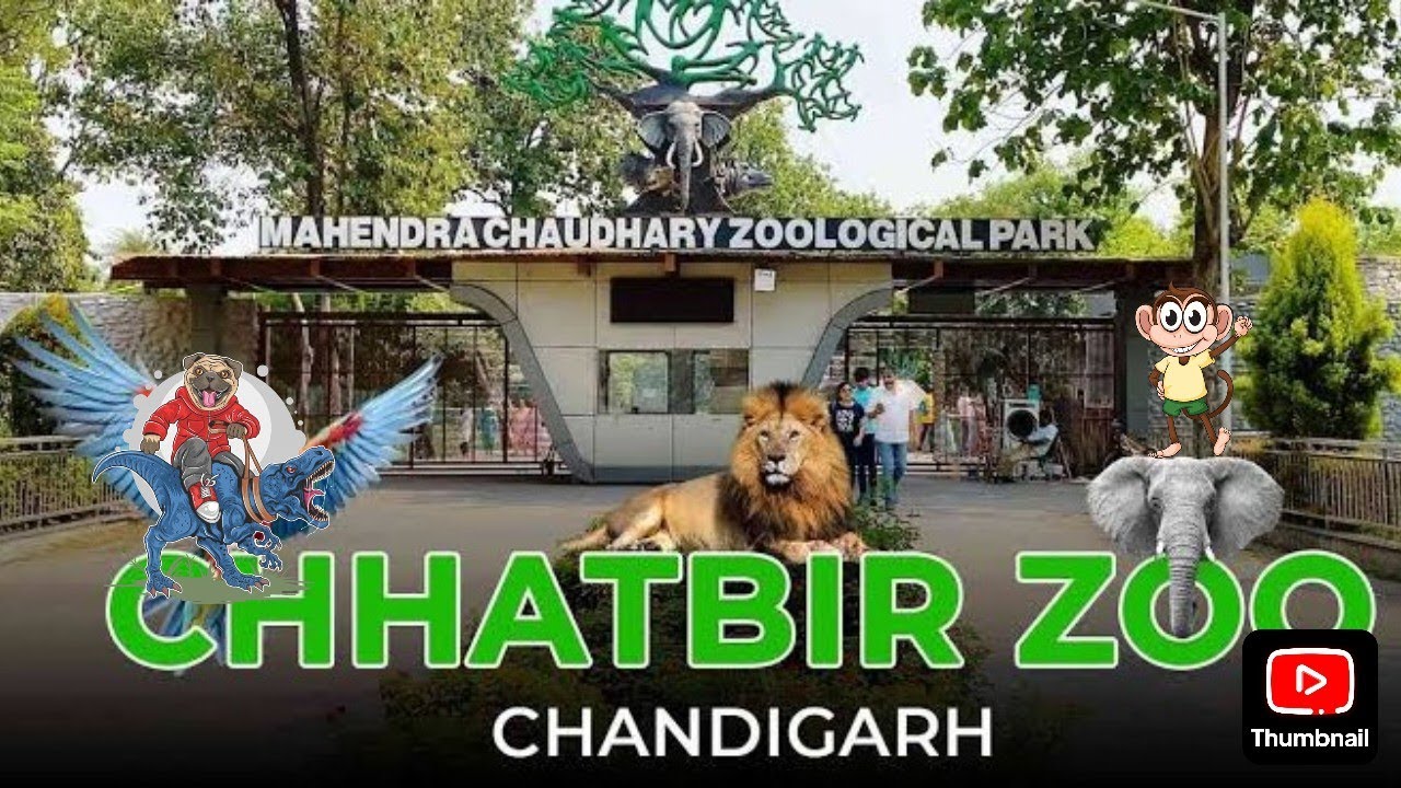 Chhatbir Zoo 🐯Tour 2025 /Mahendra Chaudhary Zoological Park -Largest ...