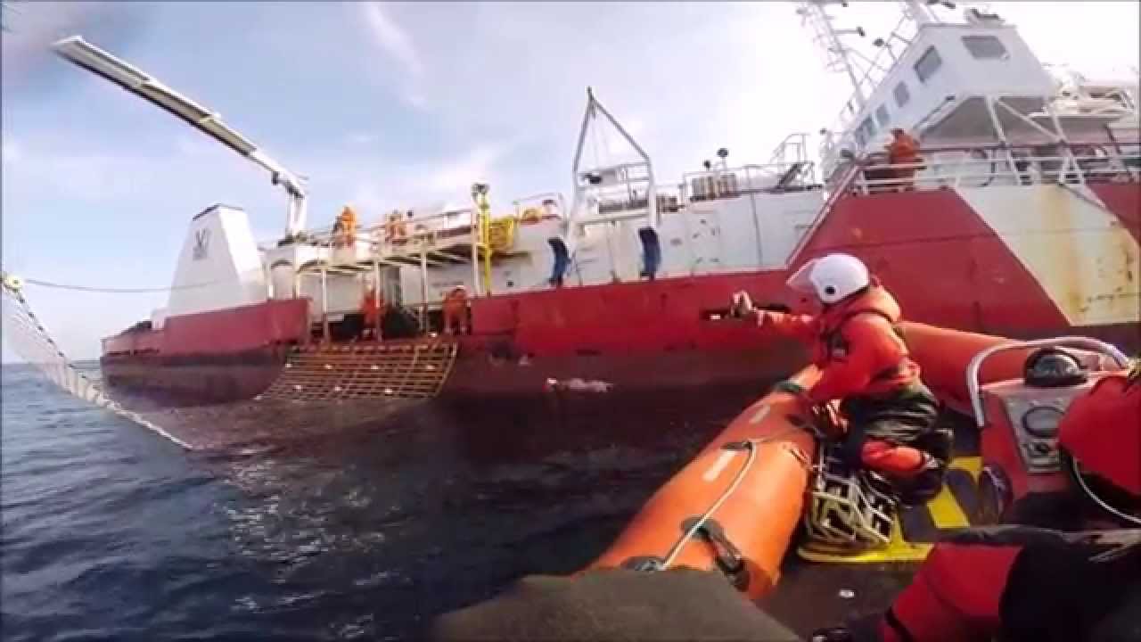 FRCs and Dacon Scoop - YouTube