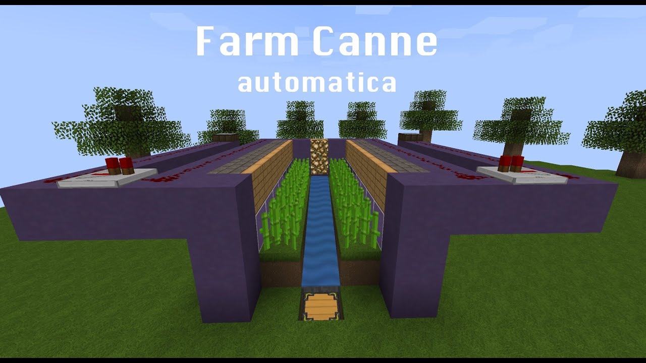 Minecraft - Come fare una farm di CANNE da ZUCCHERO automatica - YouTube