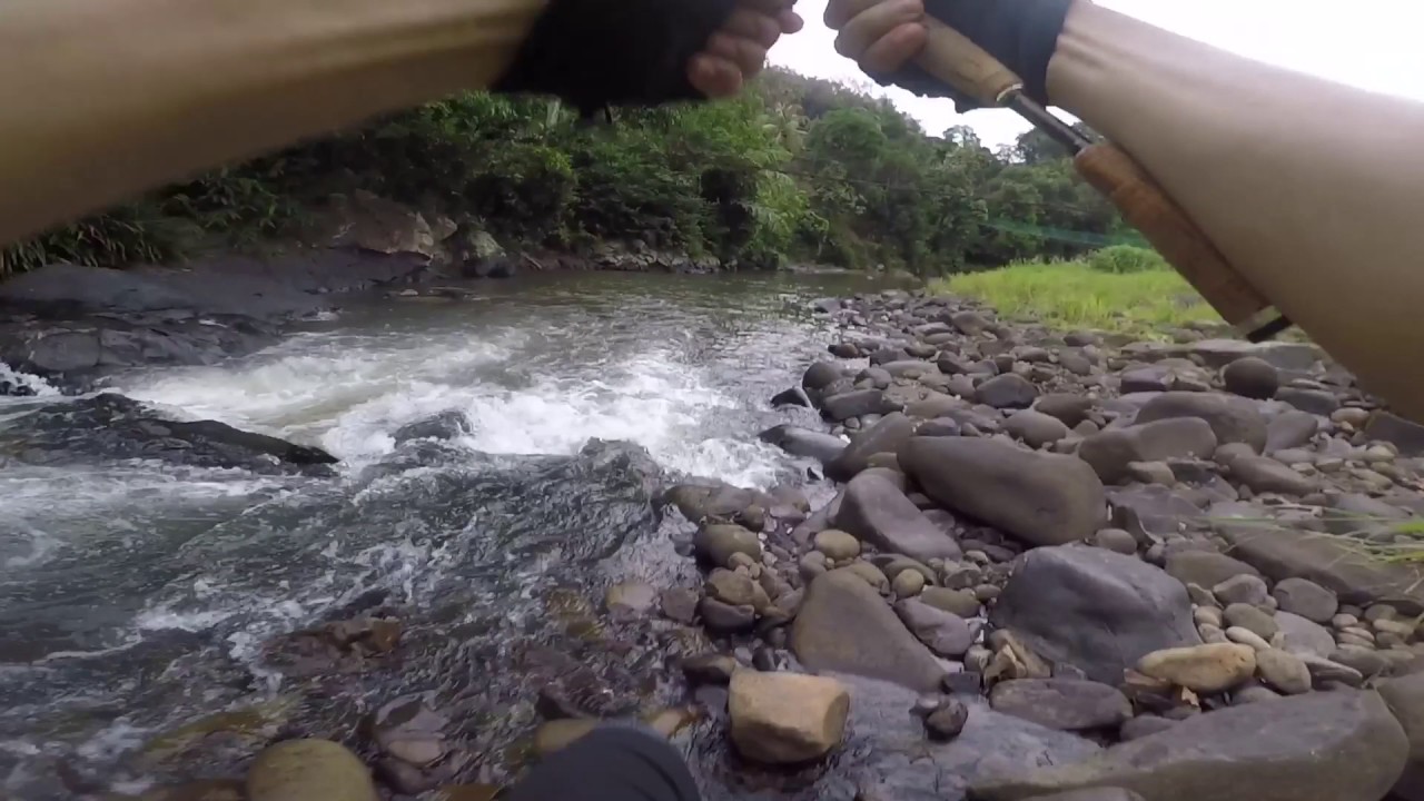 Sabah Fishing Trip in HD - YouTube