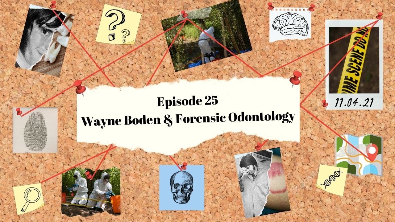 Ep. 25 - Wayne Boden & Forensic Odontology | WTF - YouTube