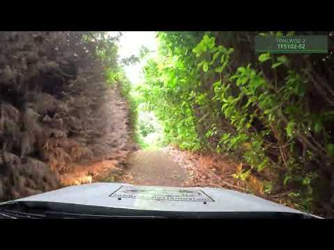 Green Lanes in a Dacia Duster - Holly Tree Lane, Upwell, Norfolk