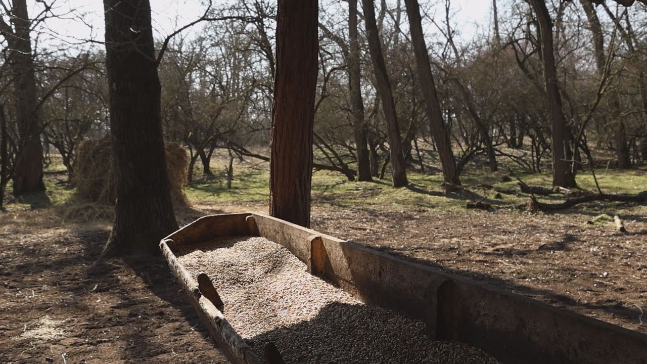 M5 TV – Ébredő természet, tavaszi vadetetés – 2025/14. adás – 2025.04. ...