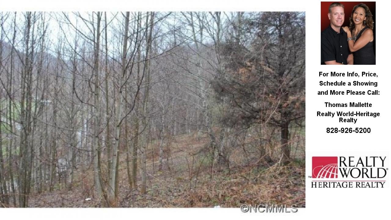 0 Wesley Creek Road, Clyde, NC Presented by Thomas Mallette. - YouTube